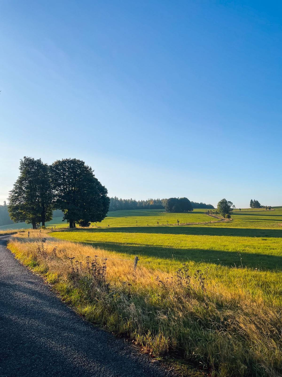 Foto: V reálu podpora, na sítích hejty. Maminka ušla stovky kilometrů ...