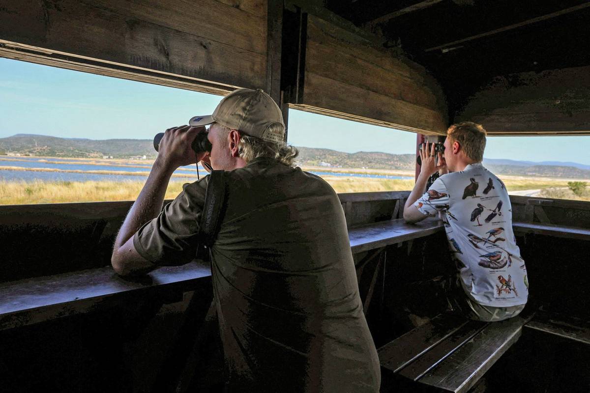 Foto: Migrace v přímém přenosu: Lesbos pod křídly ptáků